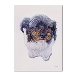 Trademark Fine Art Mccoy By James Ruby 14X19-INCH Canvas Wall Art ...