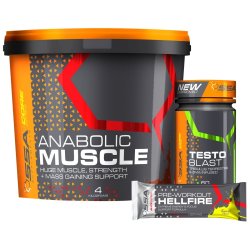 Deals on Ams 4KG Choc TESTO60 Hellfire | Compare Prices & Shop Online ...