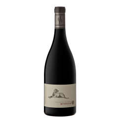 Beyerskloof Diesel Pinotage 1 X 750ML Prices | Shop Deals Online ...