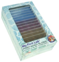 Deals on My First Lab PS72 Prepared Slide Kit Box Of 24 SLIDES 72 Specimens | Compare Prices ...